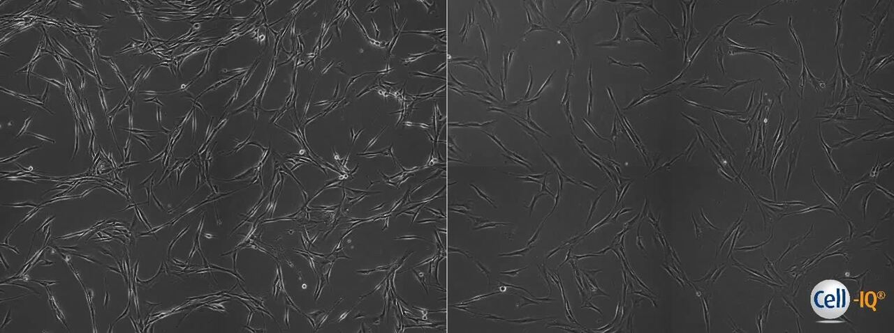 Neueste Artikel | Austria HCP Portal