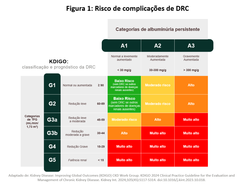 Doença Renal Crônica | Boehringer Ingelheim