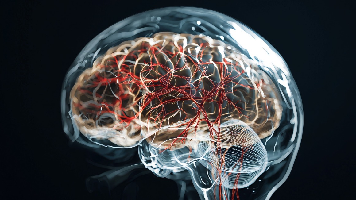 Conteúdos - Infarto | AVC | Boehringer Ingelheim