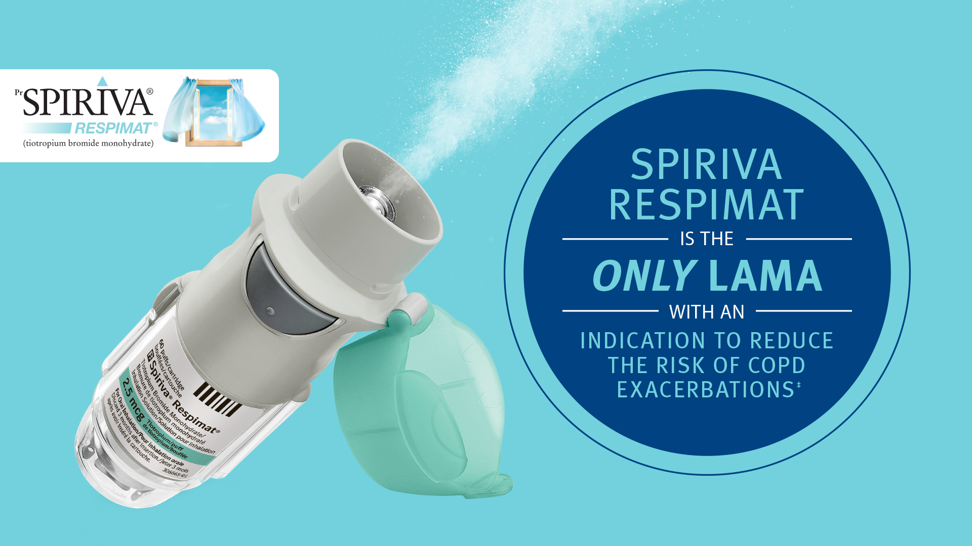 SPIRIVA® RESPIMAT® | Boehringer Platform