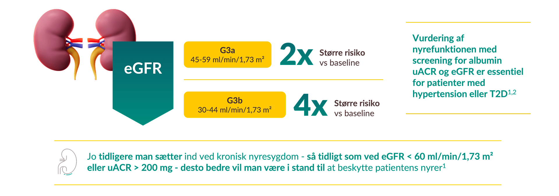 Beskyttelse ved kronisk nyresygdom