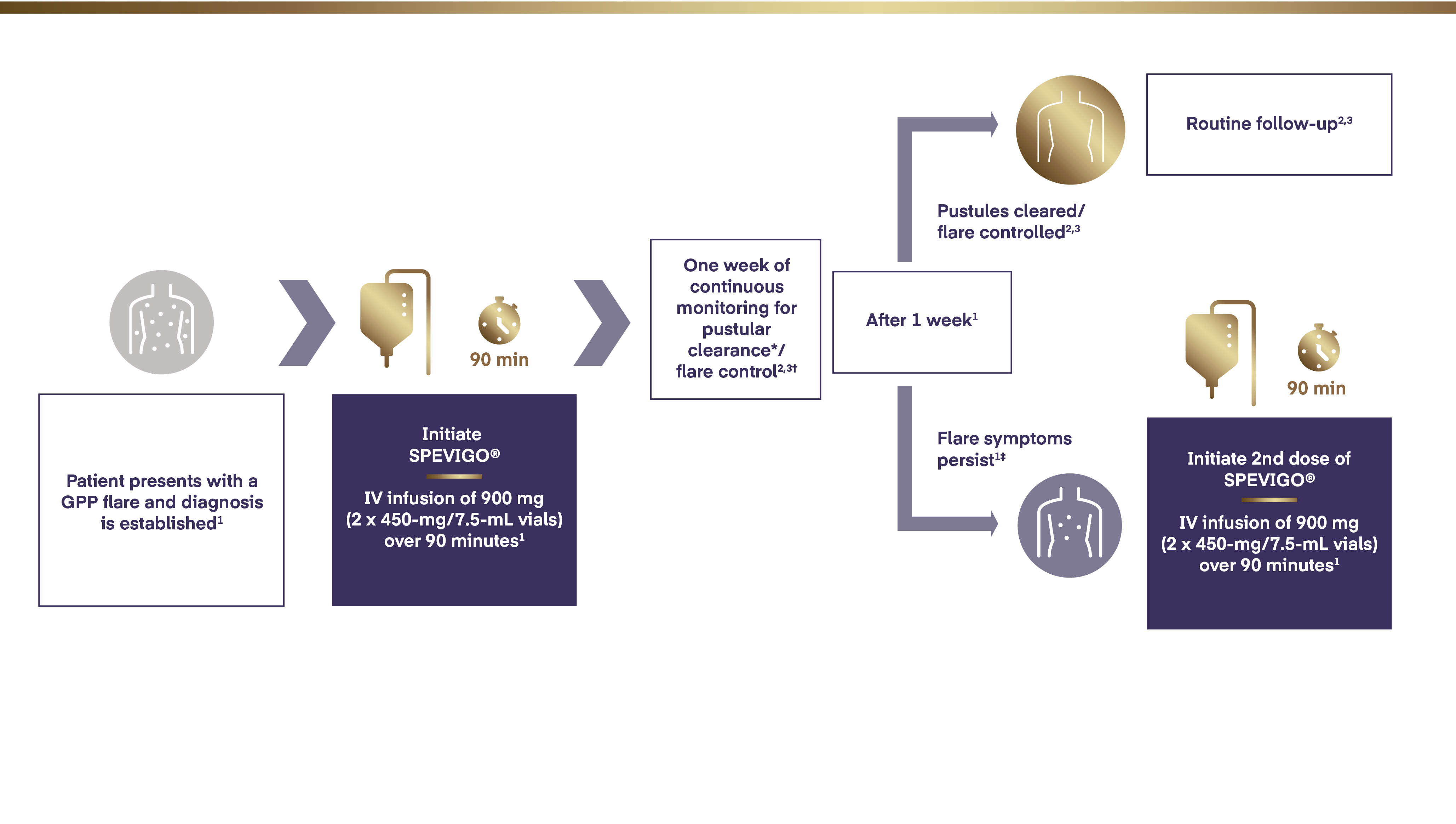 SPEVIGO® Dosing & Administration | SPEVIGO® (Spesolimab)