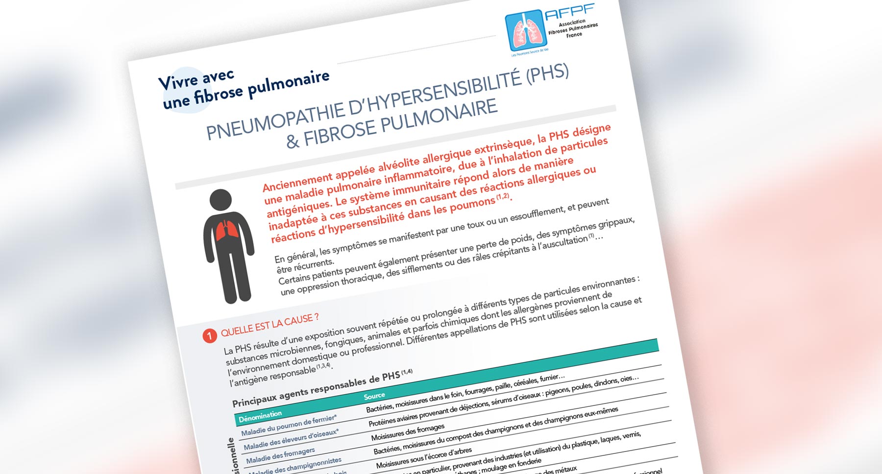 5 Points clés de la PHS