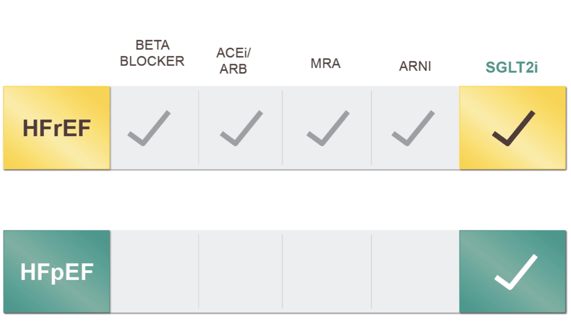Palak | Insightmedhub