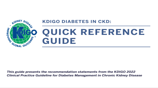 CKD Guidelines at a Glance | Insightmedhub