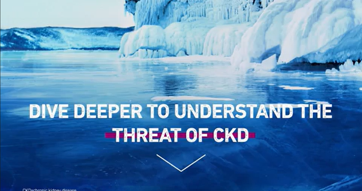 DSE Campaign Reveal Animated Video | Insightmedhub