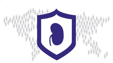 Safety Profile | Insightmedhub