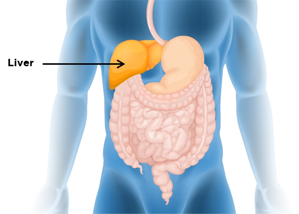 GI Cancers in Focus | InOncology – Boehringer Ingelheim