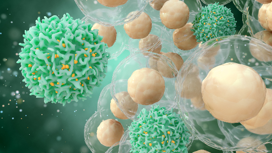 B7-H6/CD3 T-cell engager | InOncology – Boehringer Ingelheim