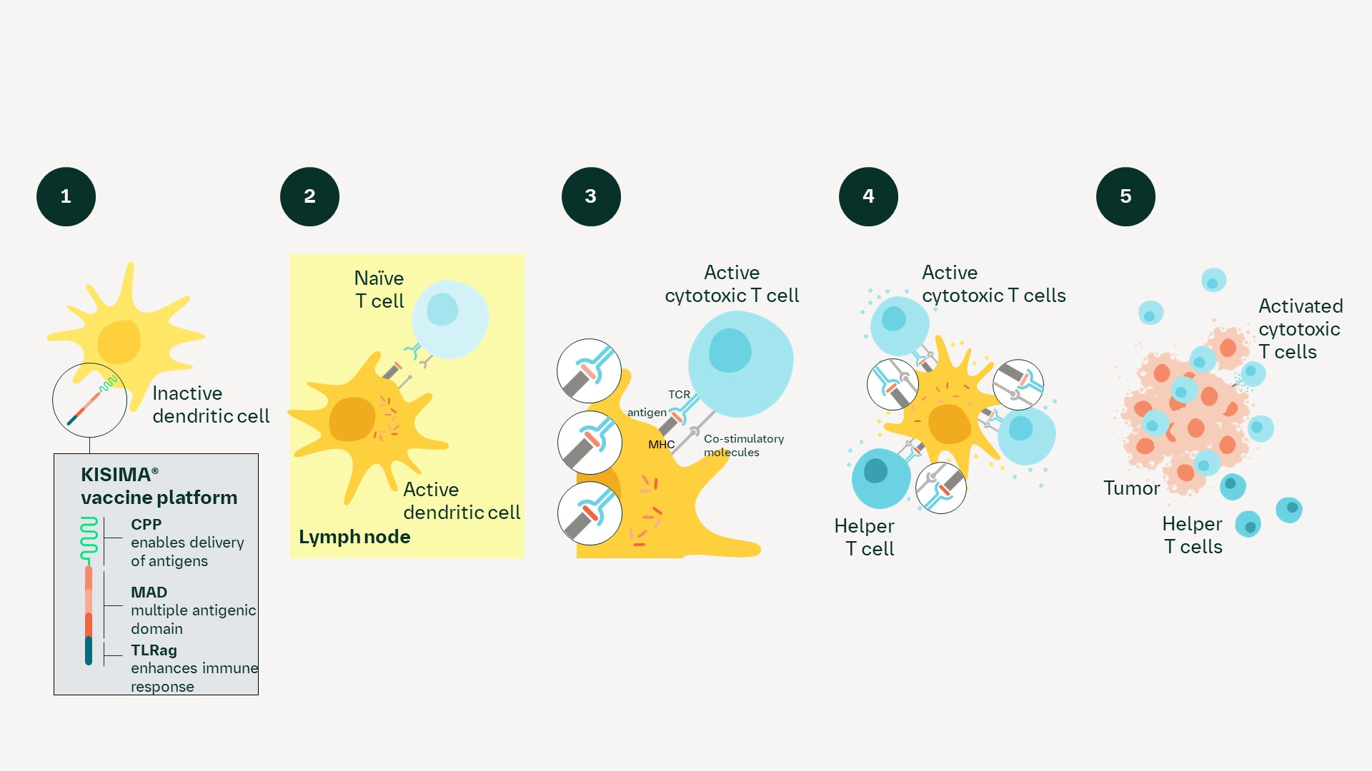 KISIMA™ Cancer Vaccine | InOncology – Boehringer Ingelheim