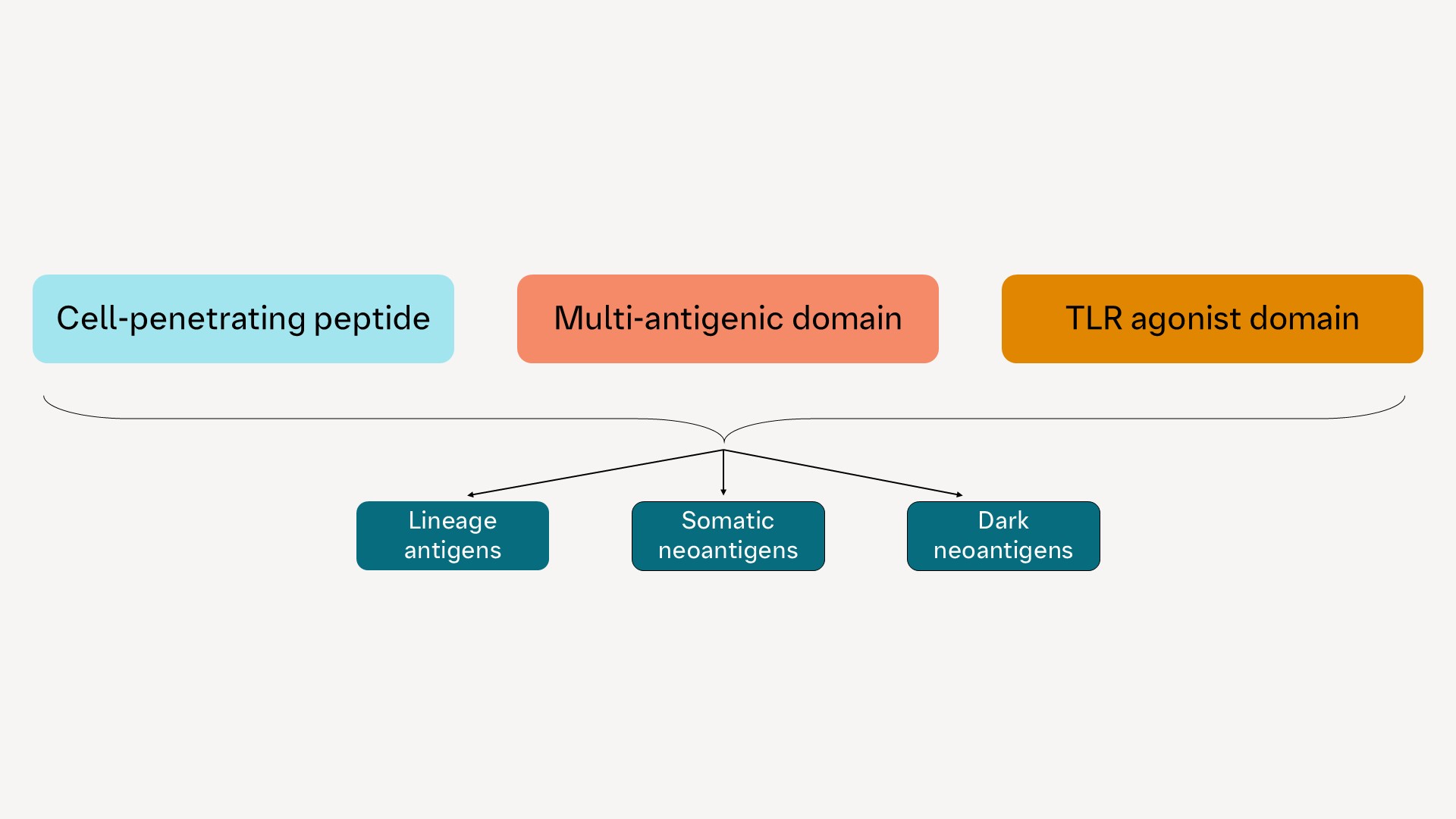 KISIMA™ Cancer Vaccine | InOncology – Boehringer Ingelheim
