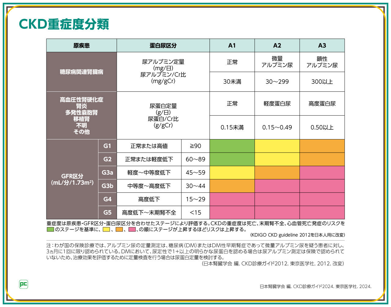 CKD診療ガイド2024における主な改訂ポイント ～DKDの第一選択薬となったSGLT2阻害薬～