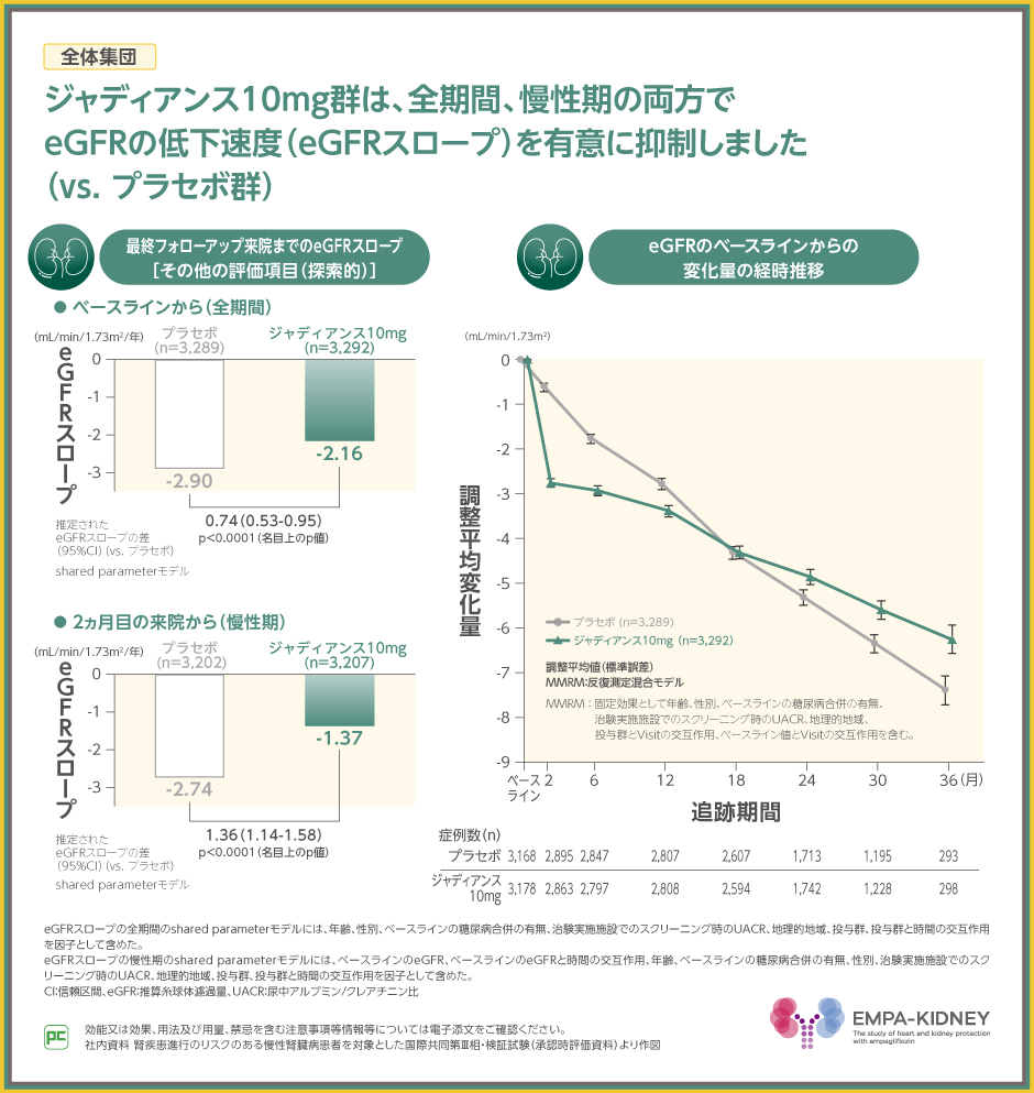 心血管イベントを考慮したCKD治療の4つの戦略とジャディアンスの臨床成績 | べーリンガープラス