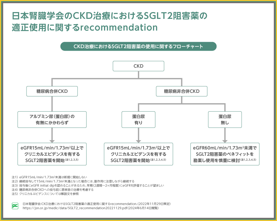 糖尿病関連腎臓病（DKD）の臨床経過から考える CKD治療の早期介入
