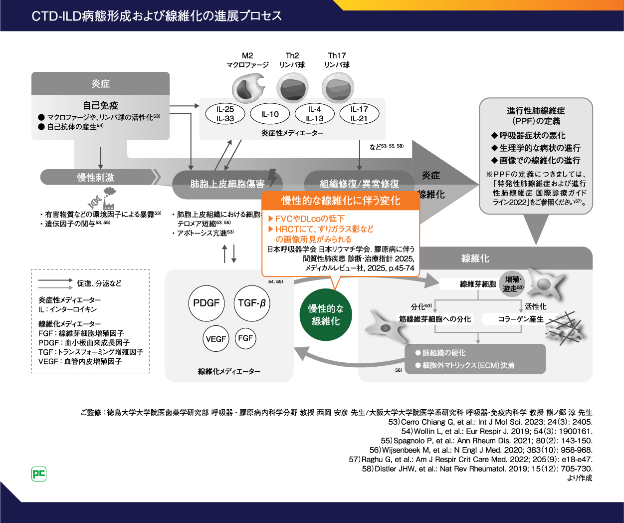 関節リウマチに伴う間質性肺疾患（RA-ILD）に対する治療戦略 ～膠原病に伴う間質性肺疾患 診断・治療指針2025より～ （静止画） | べーリンガープラス