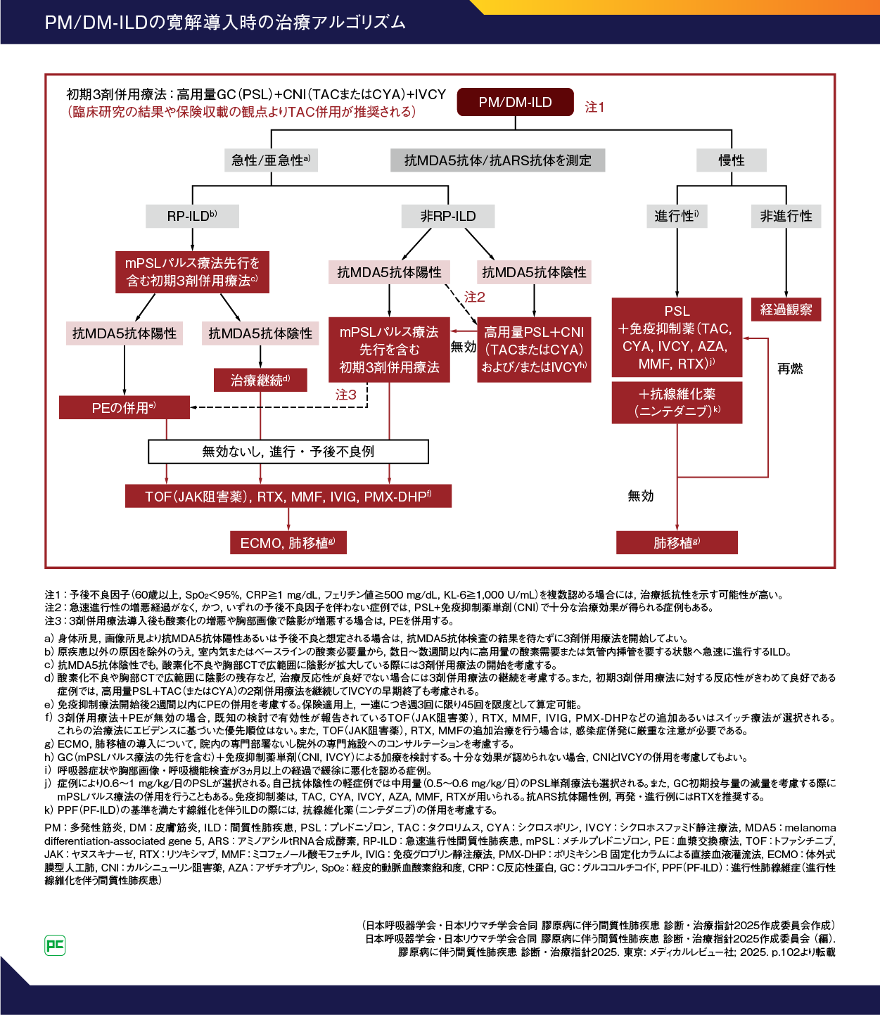 多発性筋炎/皮膚筋炎に伴う間質性肺疾患（PM/DM-ILD）に対する治療戦略 ～膠原病に伴う間質性肺疾患（CTD-ILD）診断・治療指針 ...