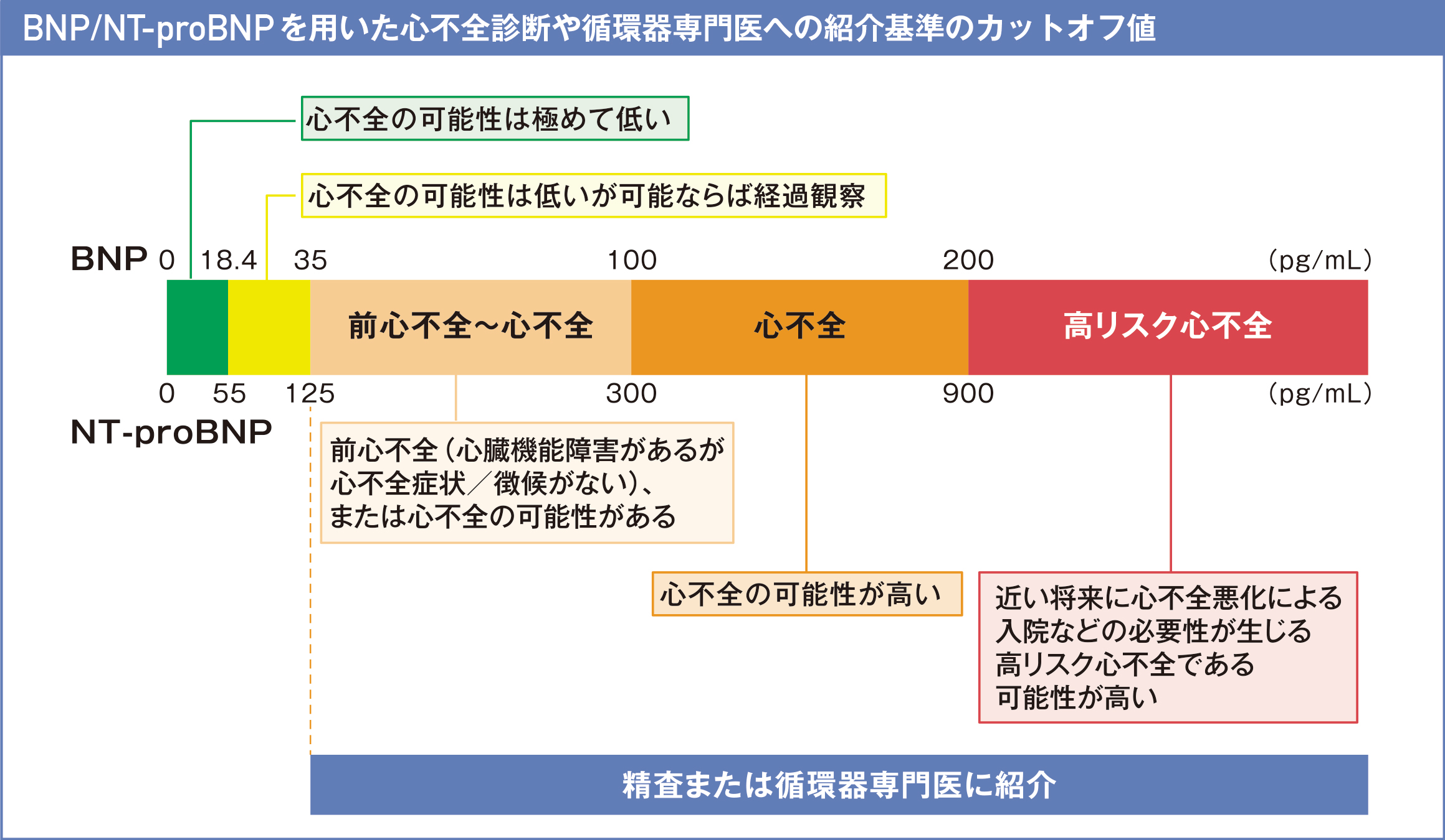 【座談会】心不全学会によるBNPに関するステートメントの改訂について