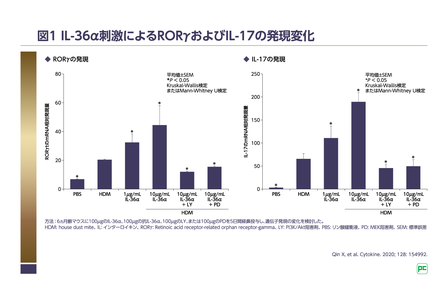 GPPの膿疱形成メカニズムにおけるIL-36シグナル伝達経路の重要性｜べーリンガープラス