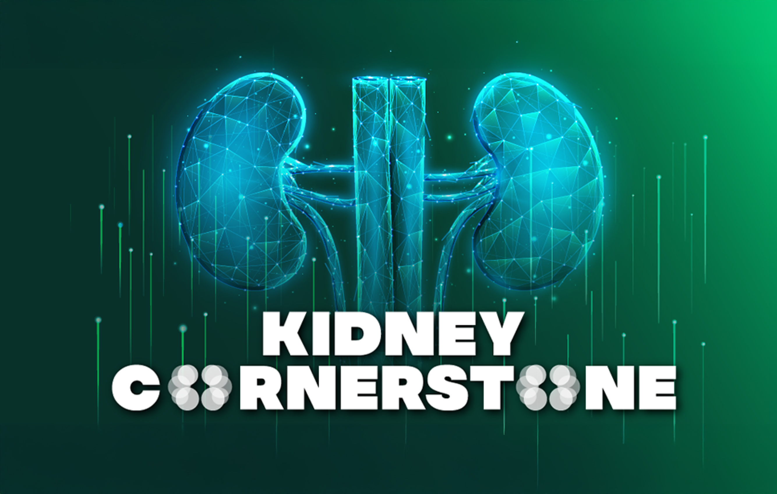 EK22||EMPA-KIDNEY: Stepping into the Next Level in Chronic kidney ...