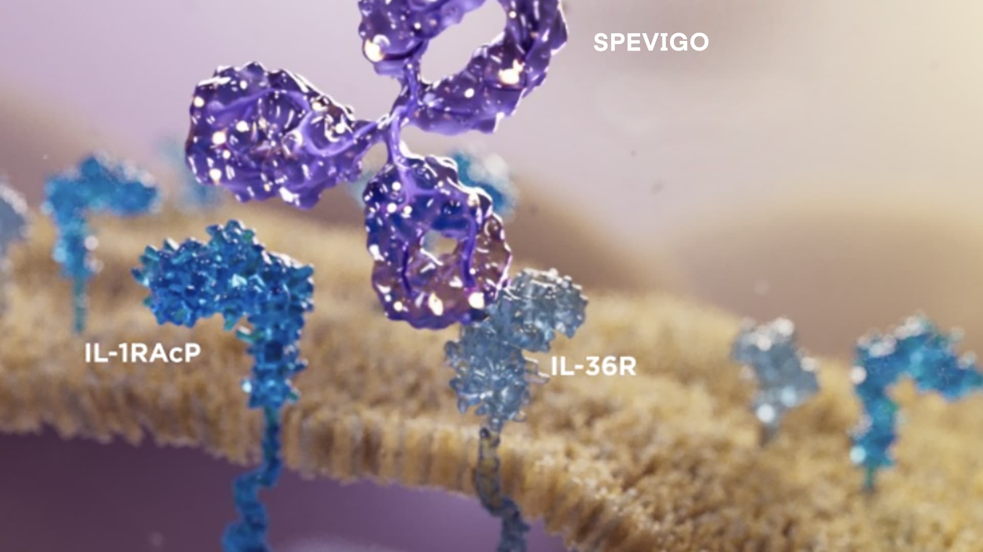Generalized Pustular Psoriasis | SPEVIGO® (Spesolimab)