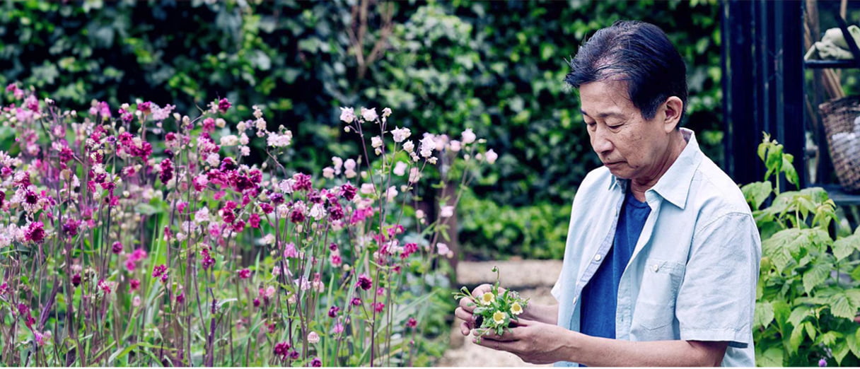 Comprehensive Trajenta Efficacy Information