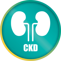 Prof Merlin Thomas CKD Video Series | Boehringer Ingelheim Malaysia