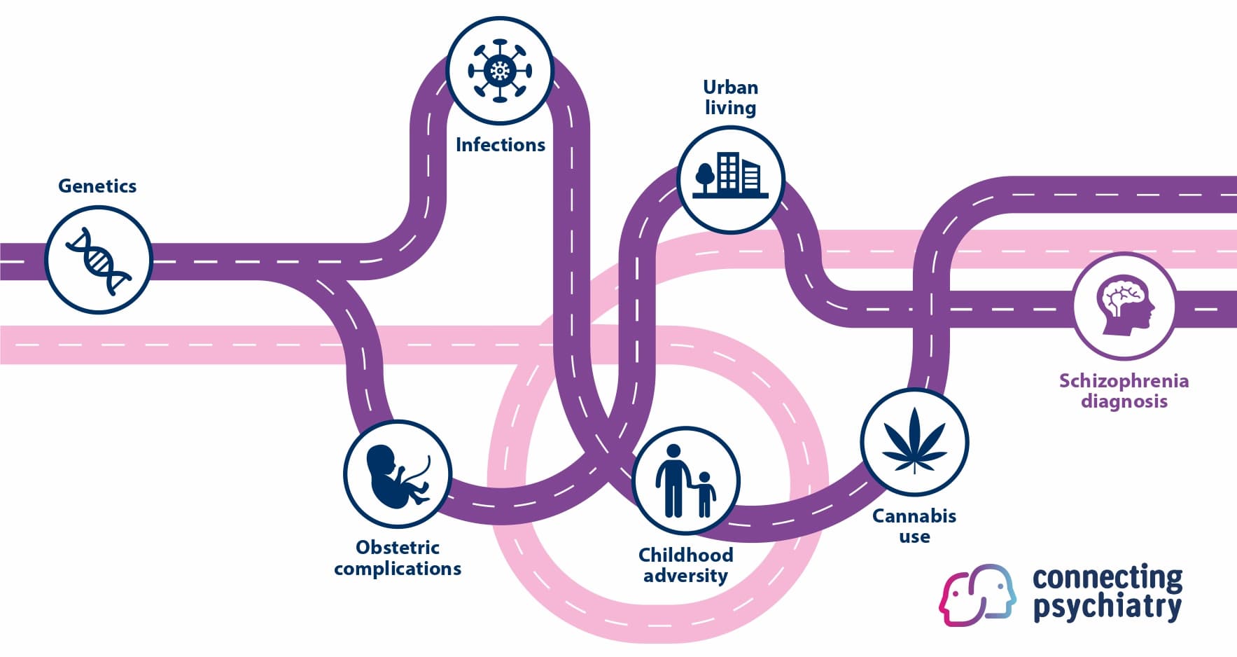 The Etiology of Schizophrenia |Connecting Psychiatry