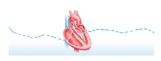 Voorschrijfbevoegd | Pradaxa® | Informatie indicaties