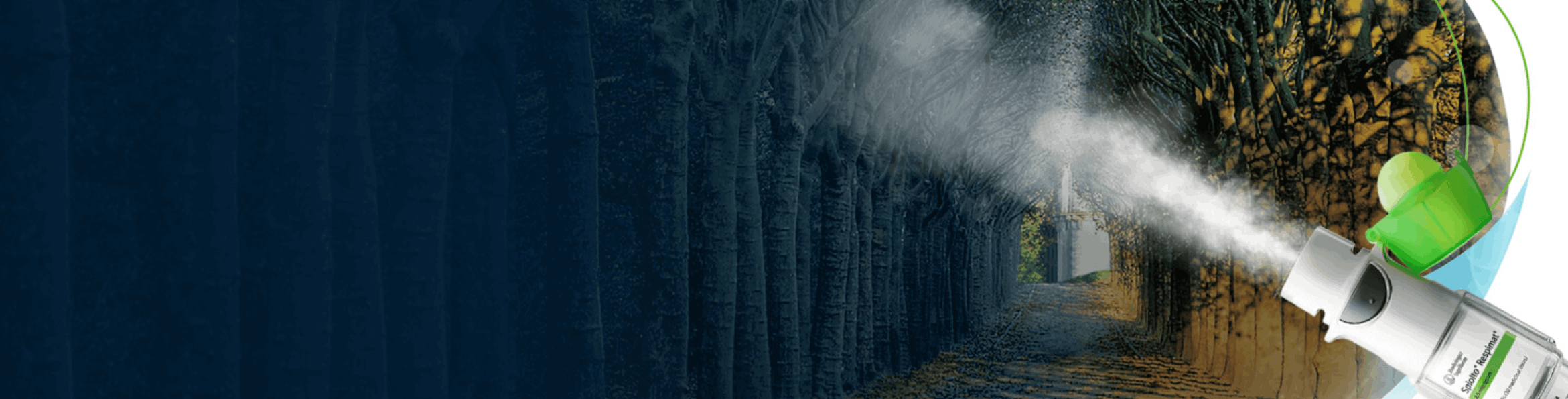 Tiotropium + olodaterol (Spiolto® Respimat®) Prescribing Information ...