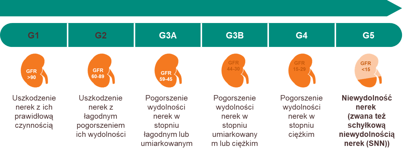 Przewlekła choroba nerek | Portal Boehringer Ingelheim