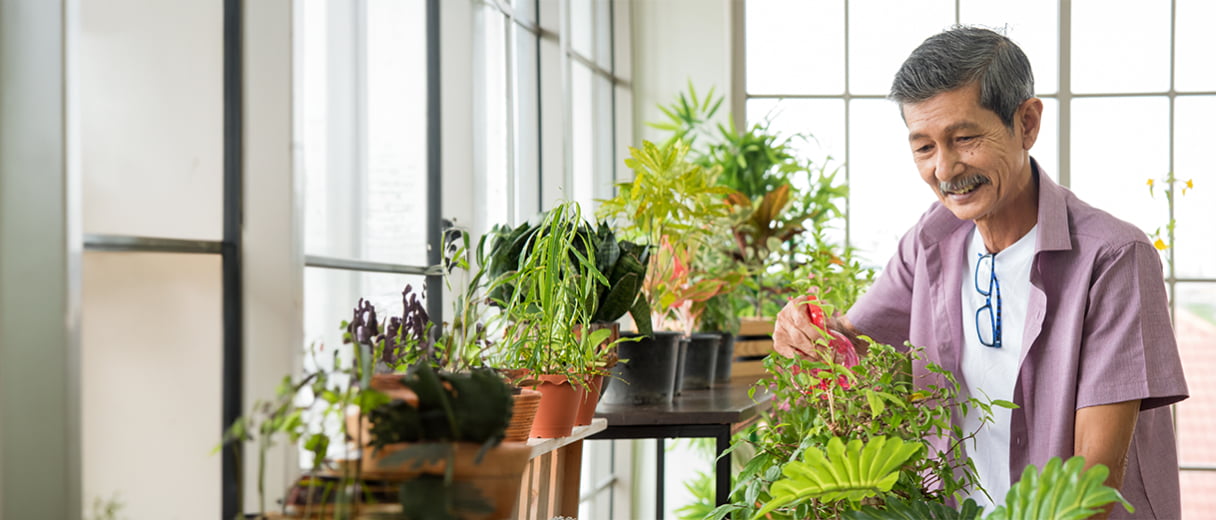 Expert Videos | Trajenta