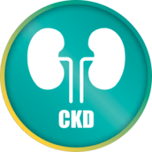 Prof Christoph Wanner’s take on EMPA-KIDNEY | Boehringer Ingelheim Pro