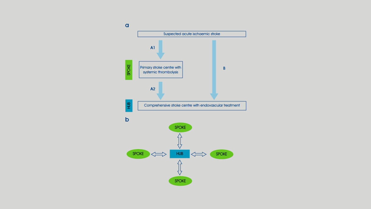 Stroke networks | strokeforum.com