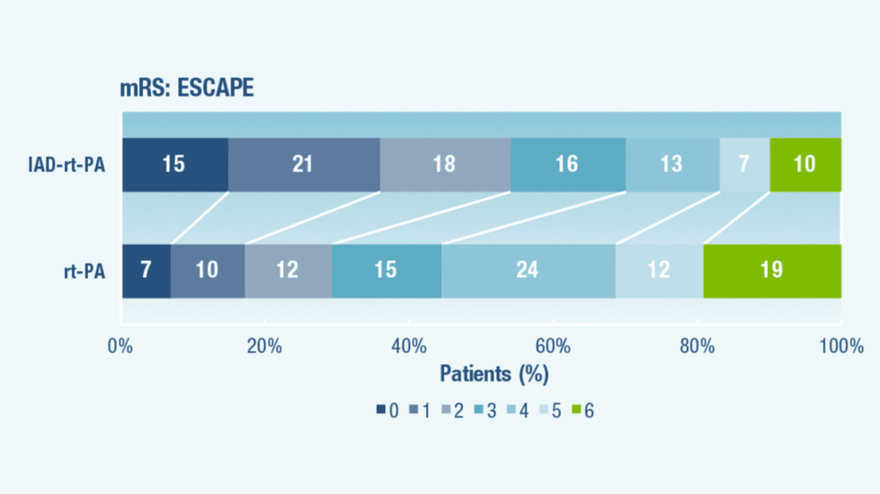 Endovascular therapy | strokeforum.com