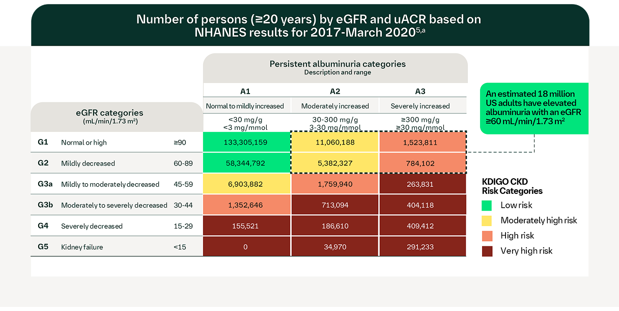 Understanding uACR | Albuminuria and kidney and related CV Risk