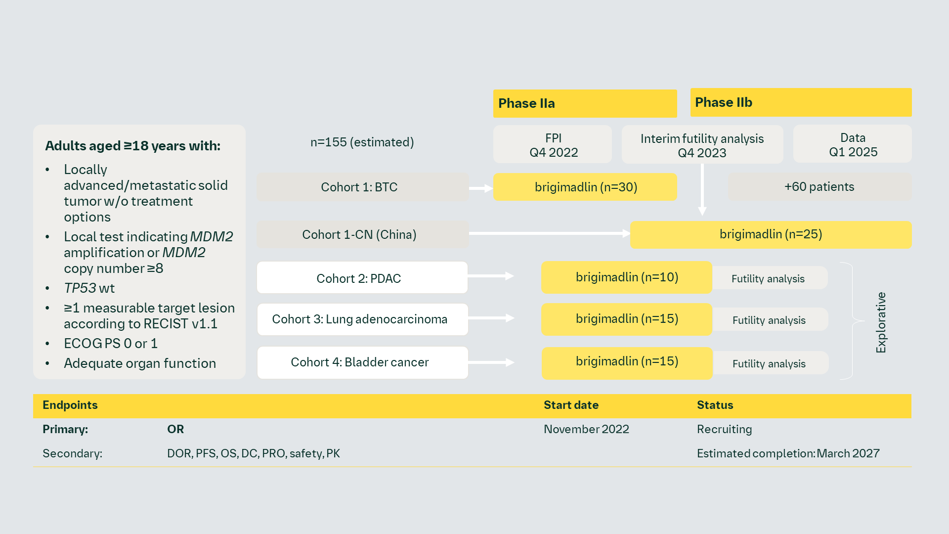NCT05512377 (Brightline-2, 1403-0011) | InOncology – Boehringer Ingelheim