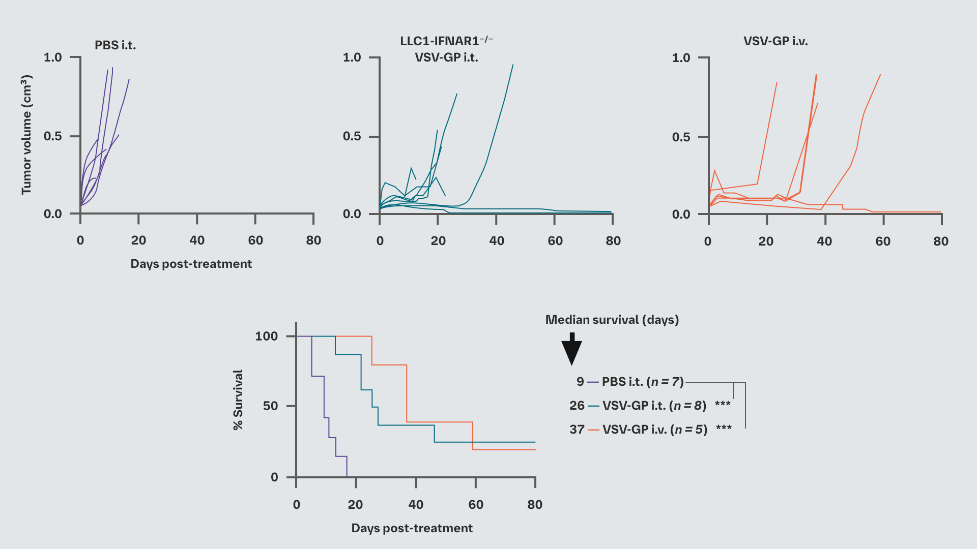 VSV-GP Results | InOncology – Boehringer Ingelheim