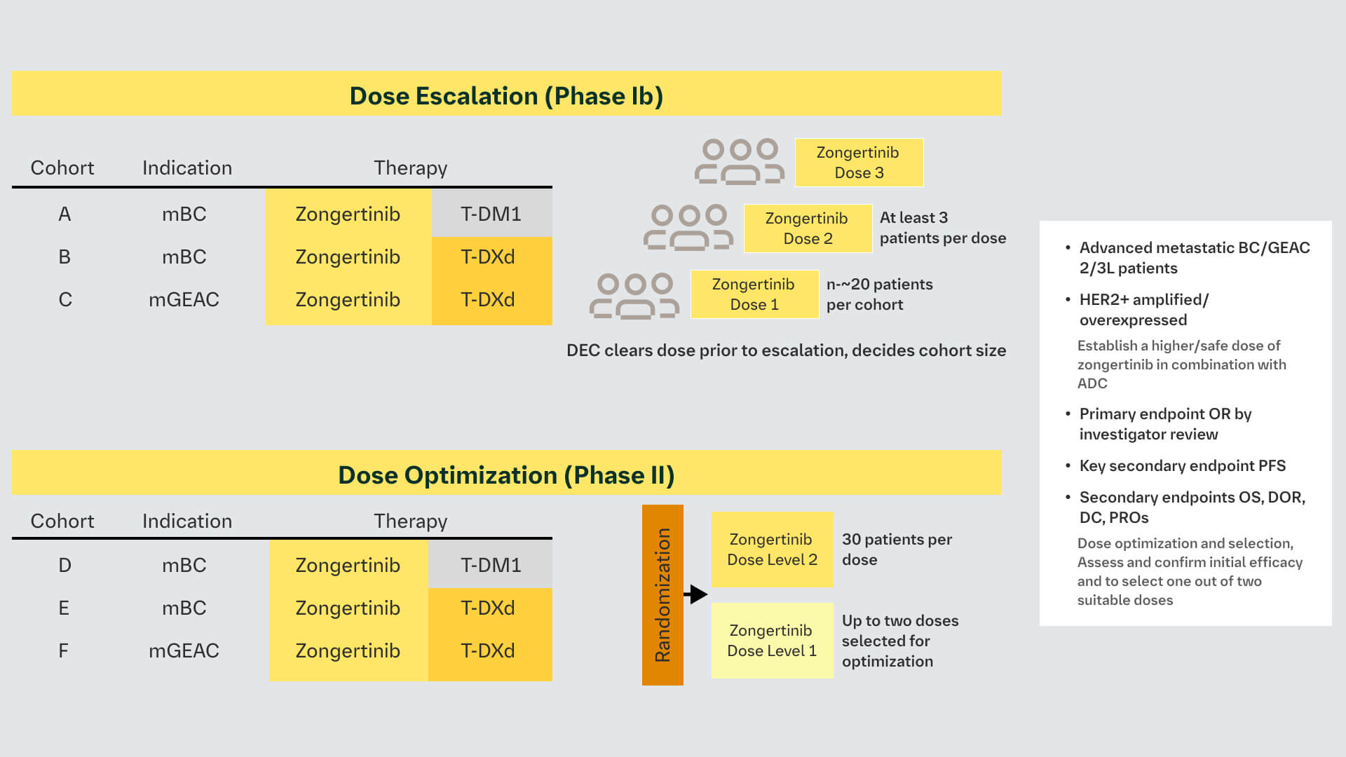 NCT06324357 (Beamion BCGC-1, 1479.12) | InOncology – Boehringer Ingelheim