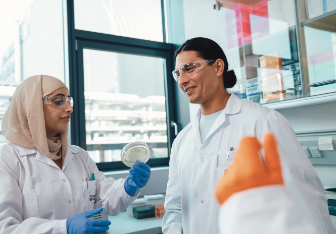 Investigator Initiated Studies | BIPI Medical & Clinical Resources