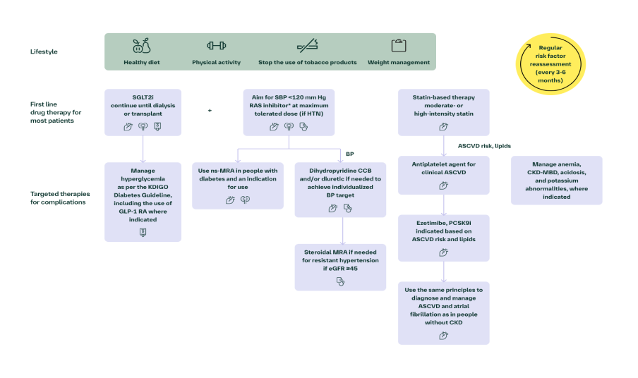 Atrial Chronic Kidney Disease (CKD) | BIPI Medical & Clinical Resources