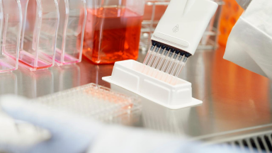 Scientific Advancement Grants | BIPI Medical & Clinical Resources