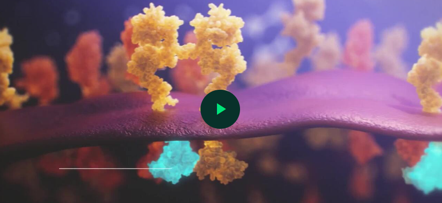 Oncology — HCP Resource | BIPI Medical & Clinical Resources