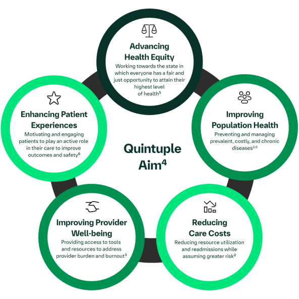 Quintuple Aim | Strategies for Quality Care