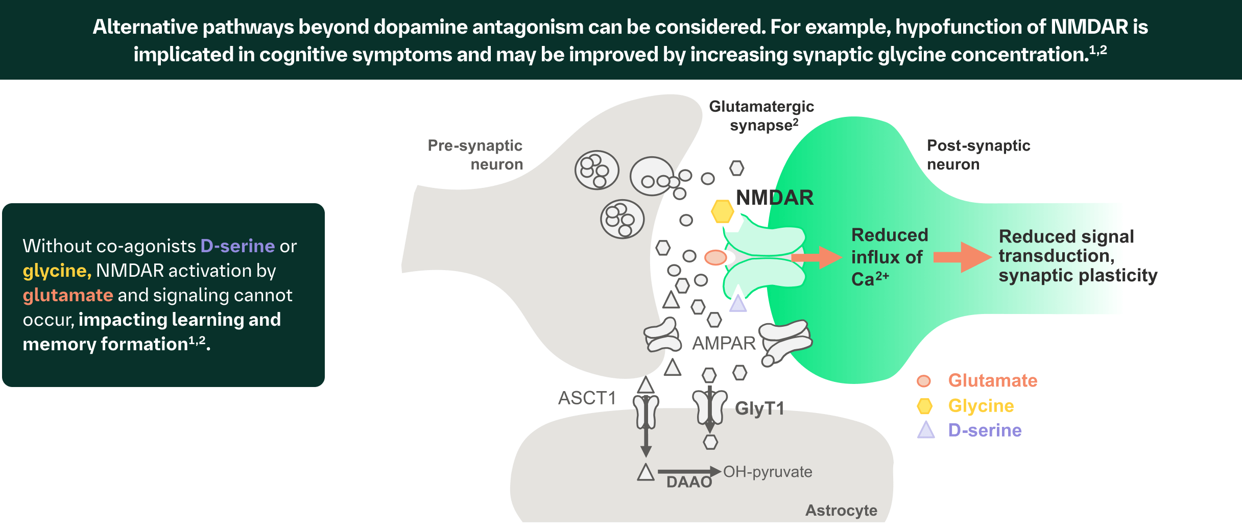 Mechanism of Disease of Schizophrenia | Vital Perspectives