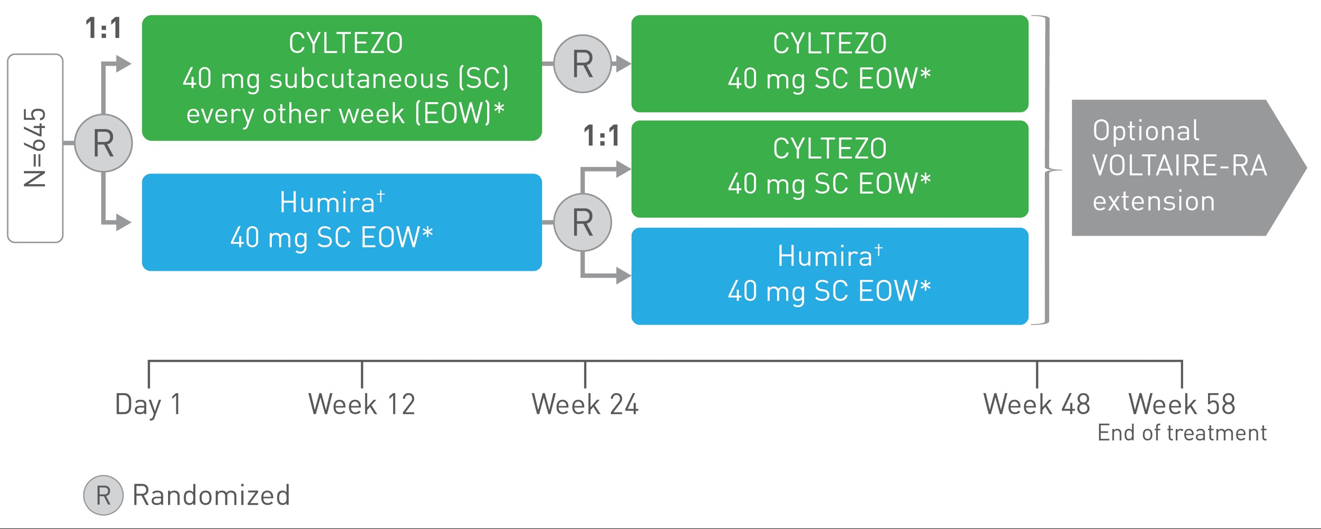 Rheumatoid Arthritis Evidence | Cyltezo® (adalimumab-adbm)