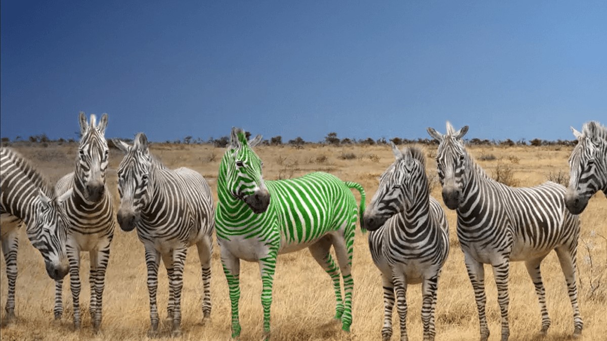 Biosimilar to Humira® | Cyltezo® (adalimumab-adbm)