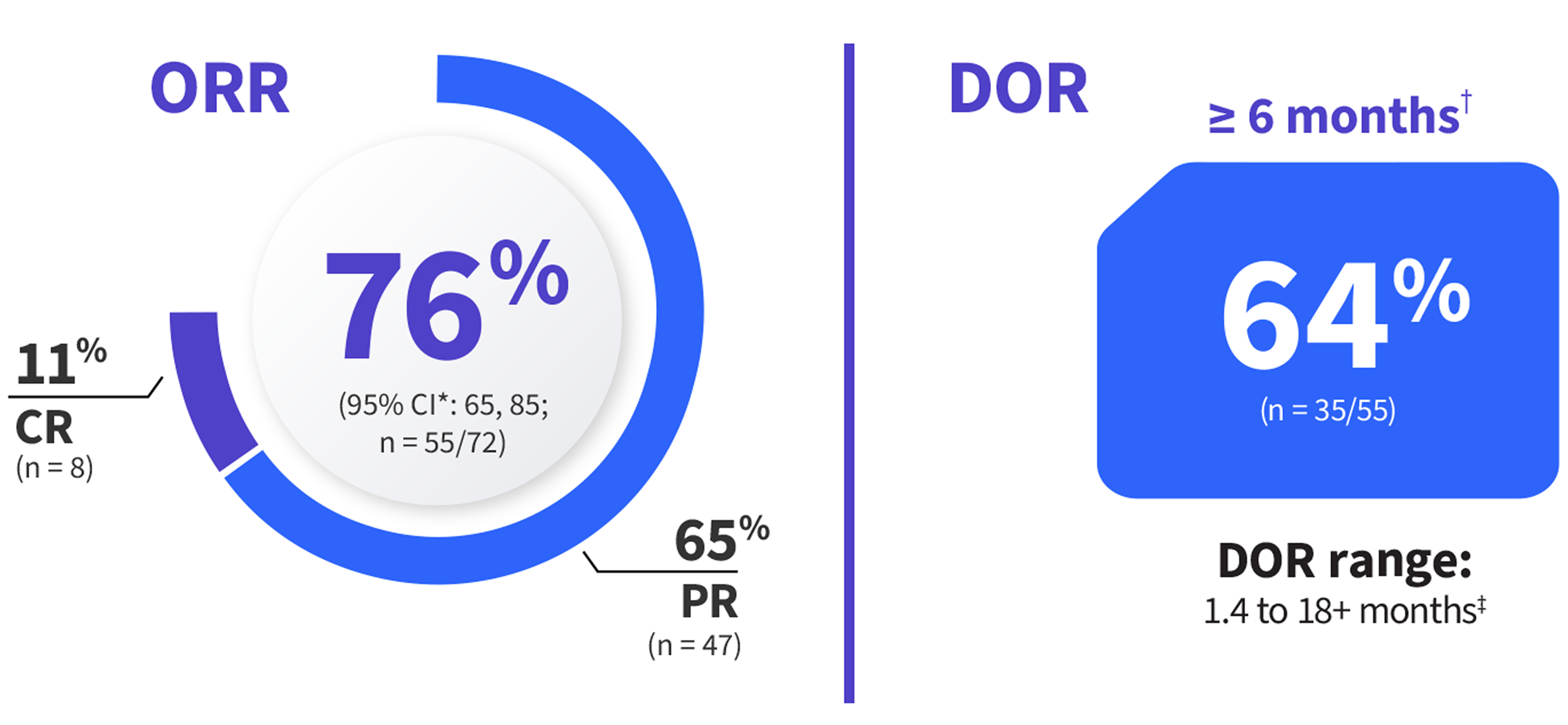 ORR and DOR | HERNEXEOS® (zongertinib tablets)