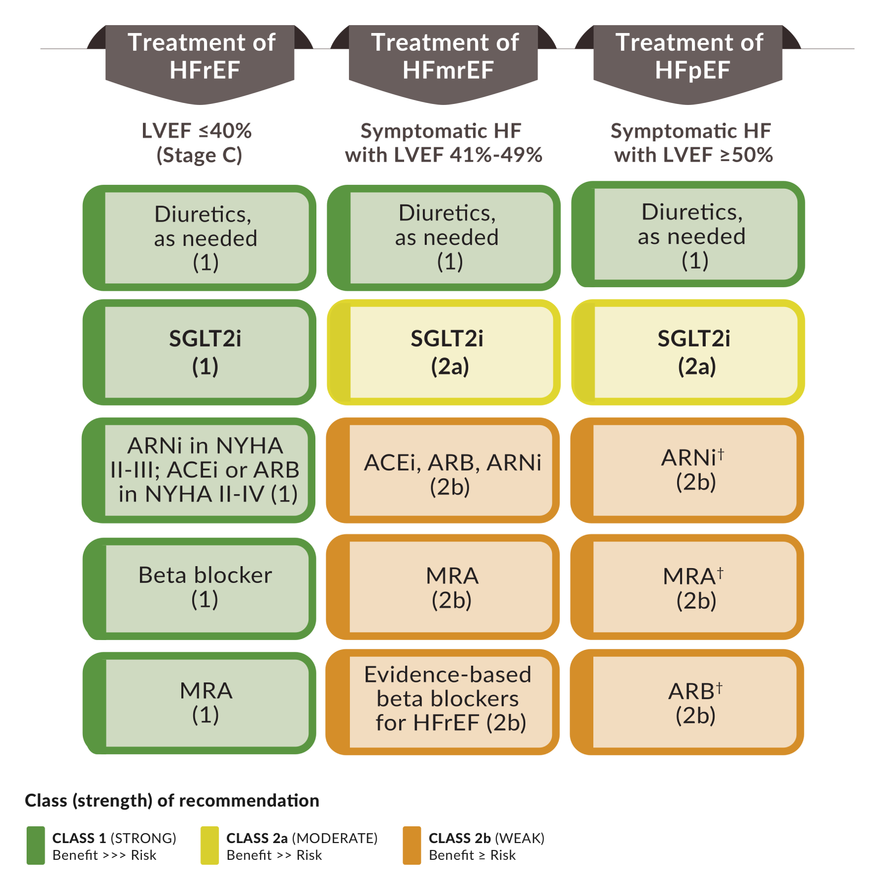 HF Treatment Guidelines | Jardiance® (empagliflozin) tablets