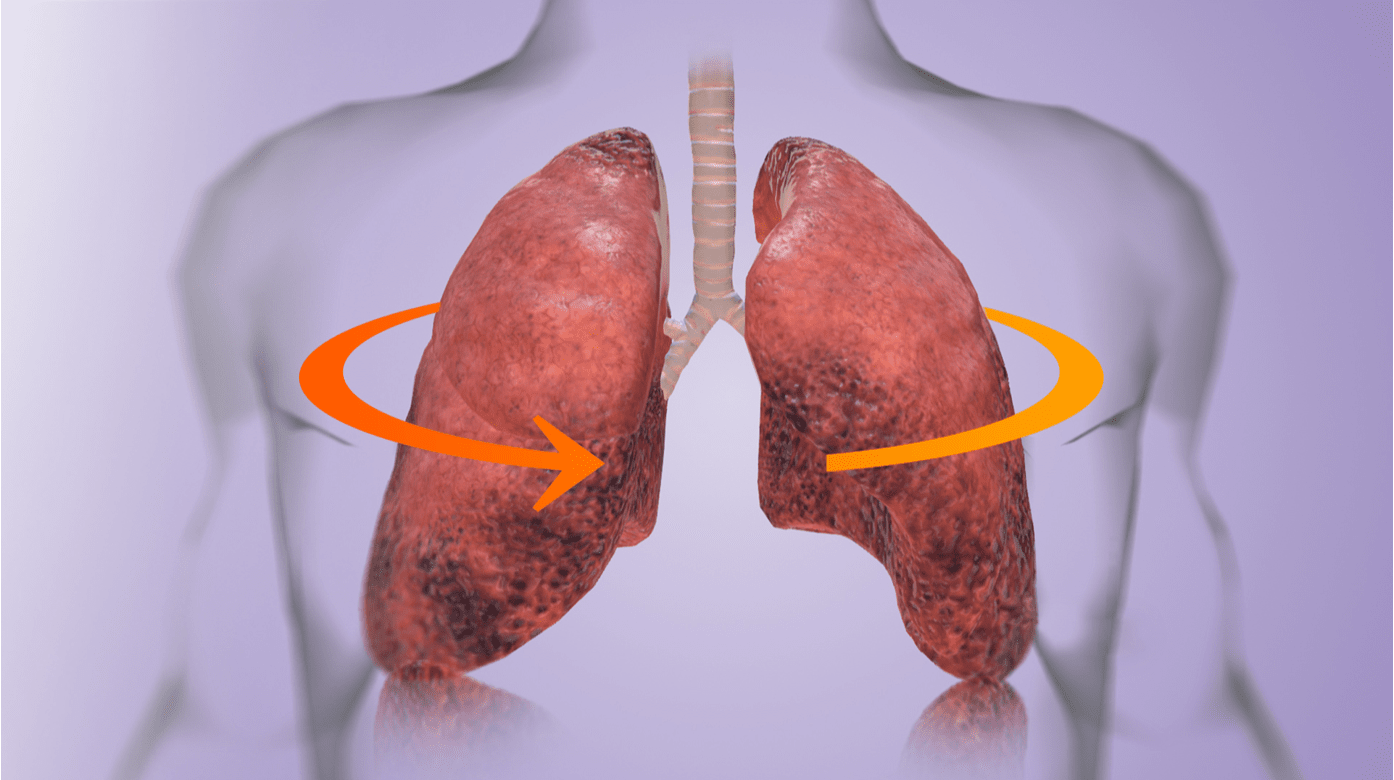 Option for Adults With IPF & SSc-ILD | OFEV® (nintedanib)