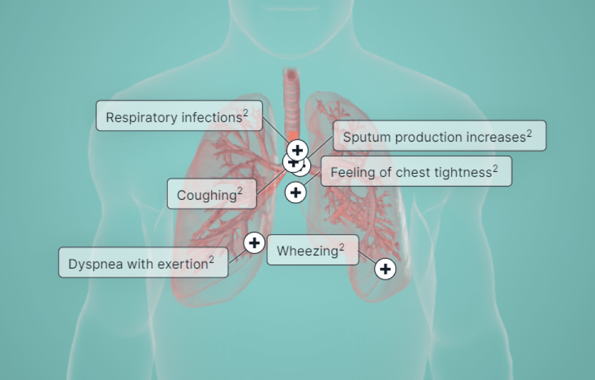 Lungs Virtual Tour | Spiriva® Respimat® | HCP
